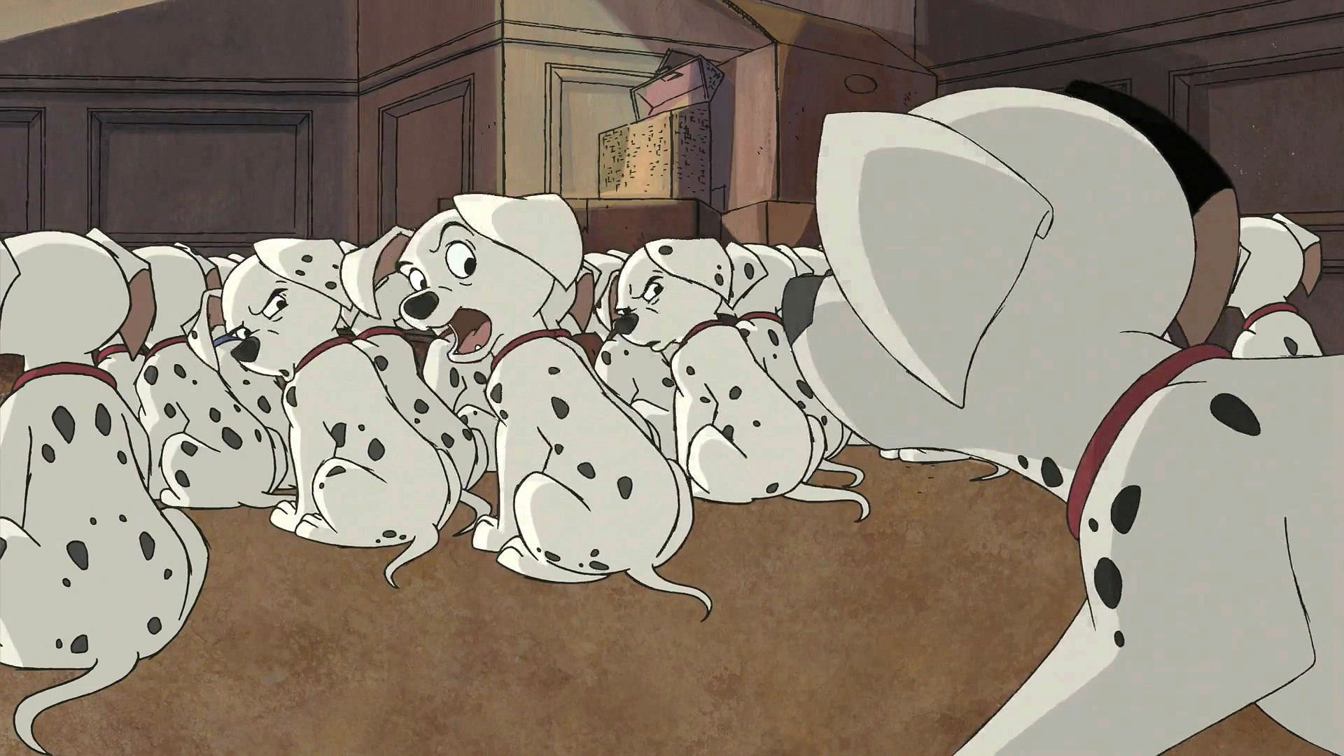 Lucky/Gallery | 101 Dalmatians Wiki | FANDOM powered by Wikia Lucky/Gallery | 101 Dalmatians Wiki | FANDOM powered by Wikia