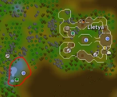 Eluned | Old School RuneScape Wiki | Fandom