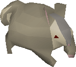 Baby chinchompa | Old School RuneScape Wiki | FANDOM powered by Wikia