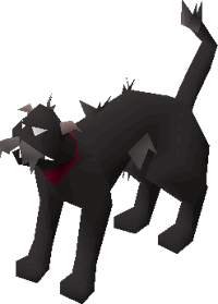Wily cat | Old School RuneScape Wiki | FANDOM powered by Wikia