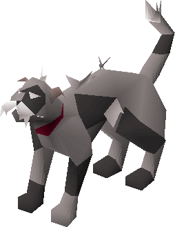 Wily cat | Old School RuneScape Wiki | FANDOM powered by Wikia