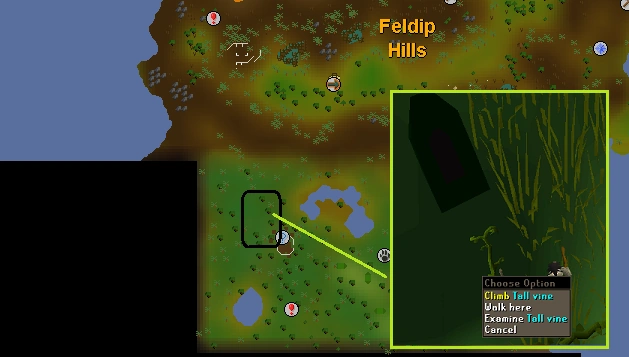 Jungle eagle | Old School RuneScape Wiki | Fandom
