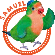 3rd & Bird Wiki | Fandom