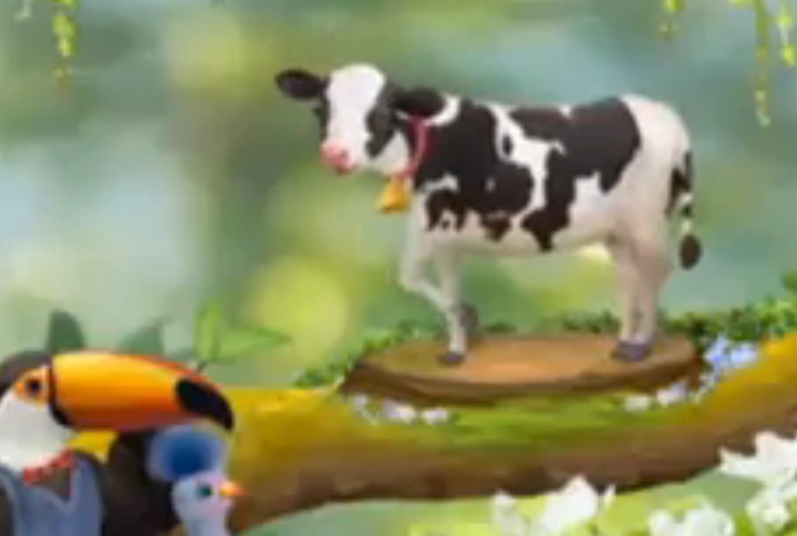 Cow | 3rd & Bird Wiki | Fandom