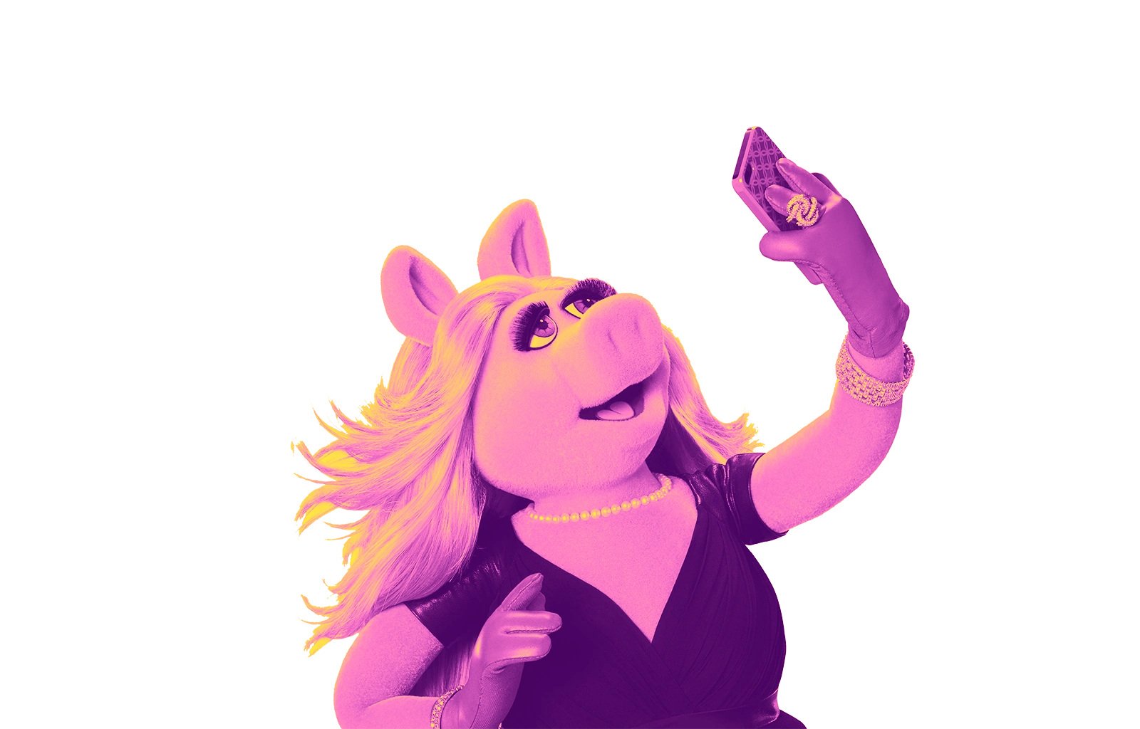 Everything To Know About The Muppets | Fandom