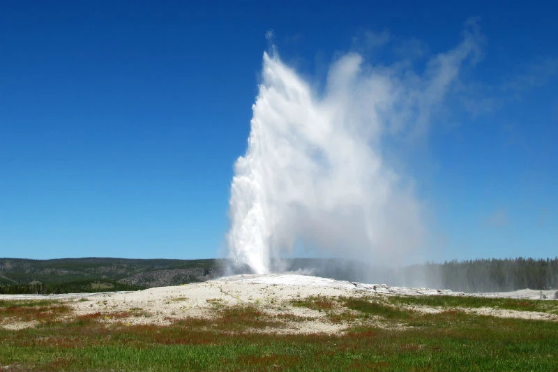 Geyser | A101 Wiki | FANDOM powered by Wikia