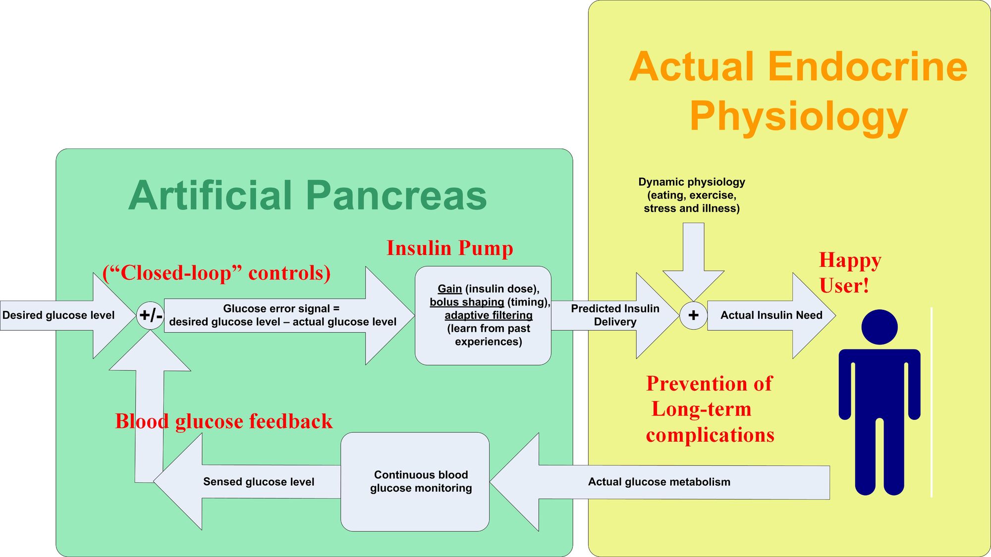 Closed Loop Artificial Pancreas Algorithm Project Fandom Powered By Wikia