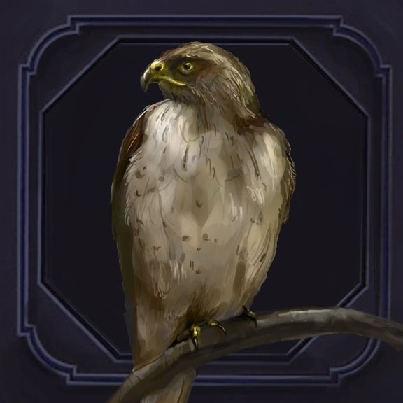 Familiar - Hawk | Academagia Wiki | FANDOM powered by Wikia