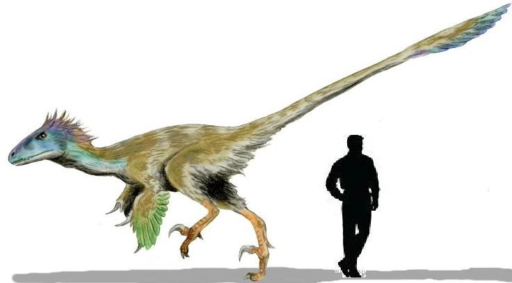 Utahraptor | Wiki ACAM | FANDOM powered by Wikia