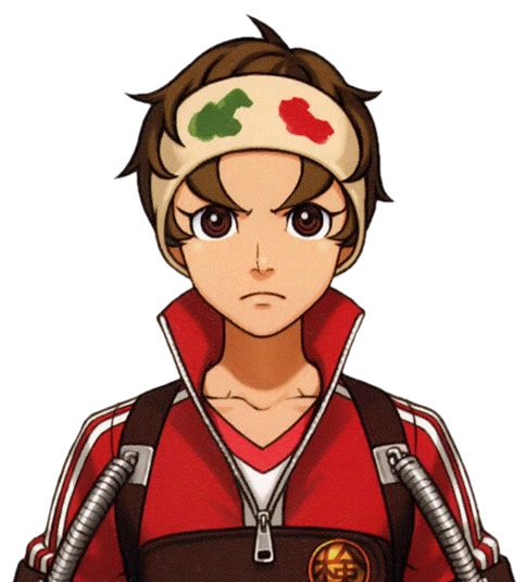 Robin Newman | Ace Attorney Wiki | FANDOM powered by Wikia