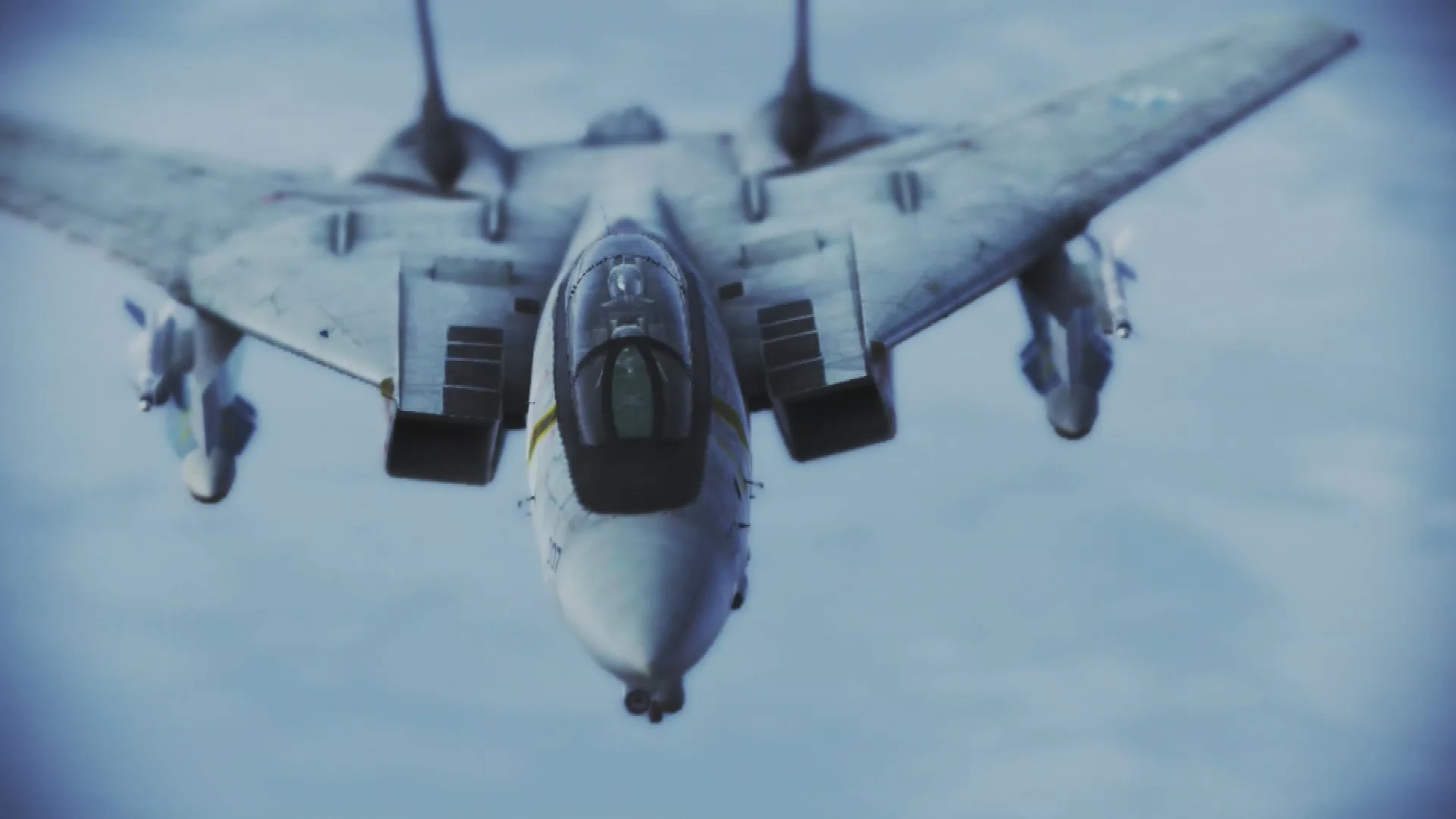 F-14A -Edge- | Acepedia | Fandom