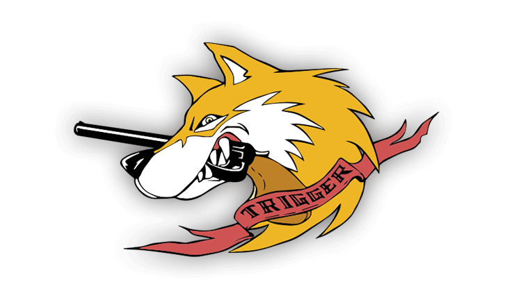 Триггер | Ace Combat вики | Fandom