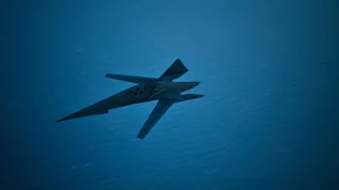 ADF-11 | Acepedia | FANDOM powered by Wikia