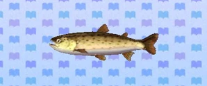 Stringfish | Animal Crossing: New Leaf Wiki | Fandom