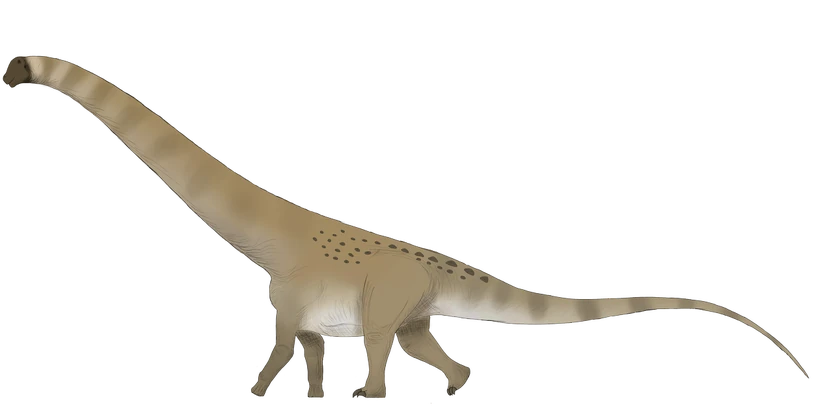 Argentinosaurus | Additional Creatures Wiki | Fandom