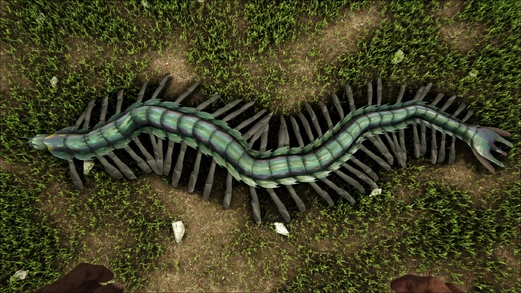 Con Rit | Additional Creatures Wiki | FANDOM powered by Wikia