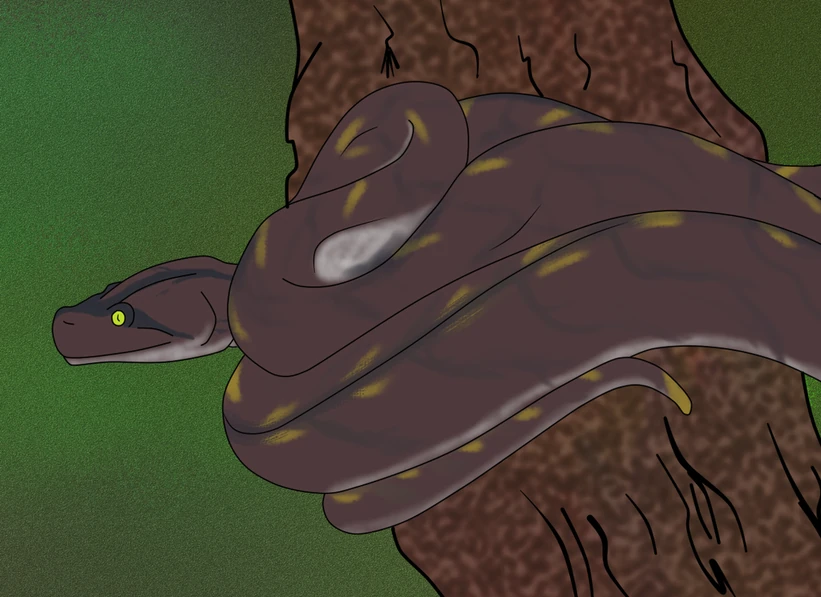 Gigantophis | Additional Creatures Wiki | FANDOM powered by Wikia