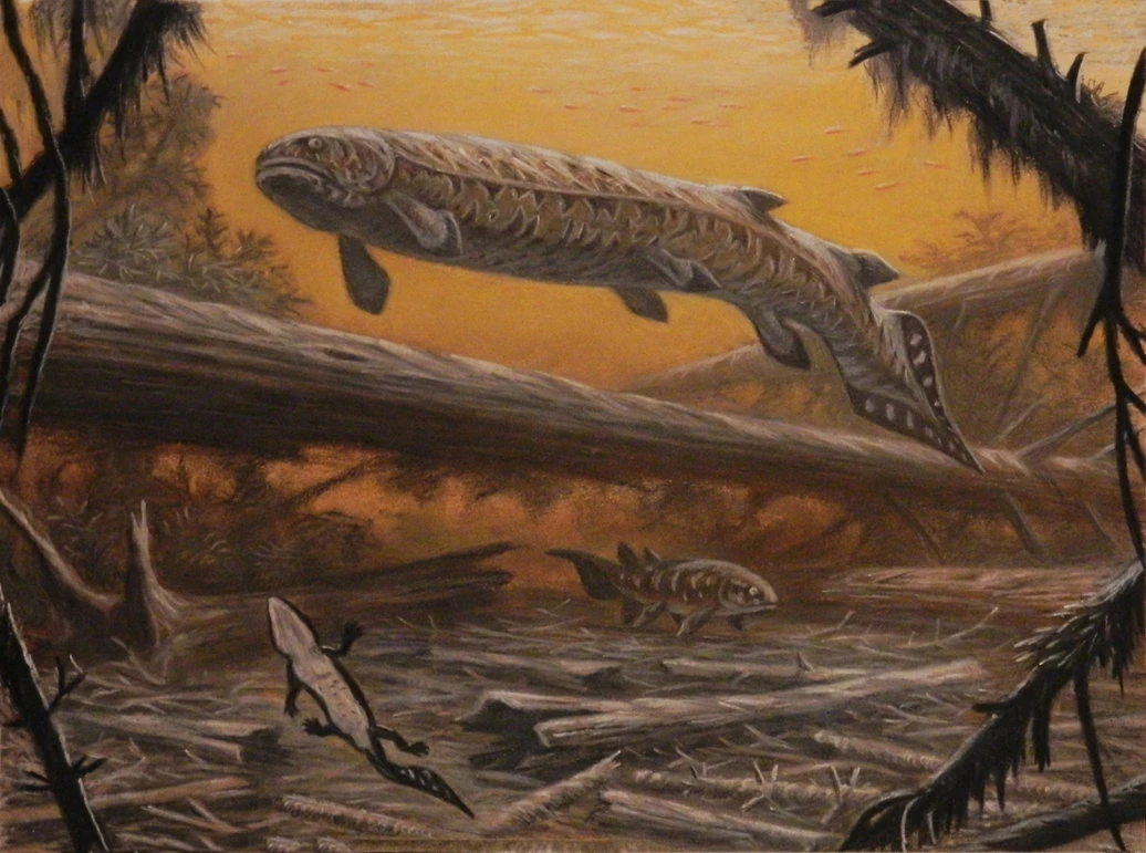 Rhizodus | Additional Creatures Wiki | FANDOM powered by Wikia