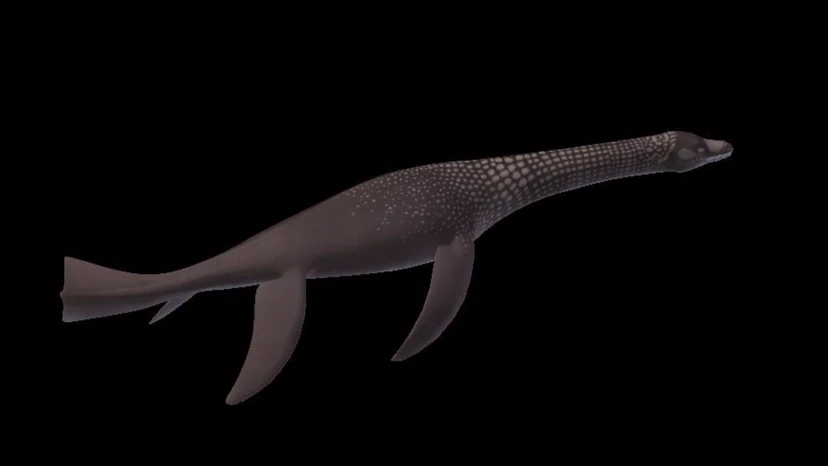 Cryptoclidus | Additional Creatures Wiki | Fandom