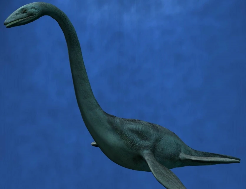 Champ | Additional Creatures Wiki | FANDOM powered by Wikia