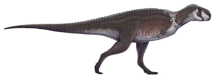 Kryptops | Additional Creatures Wiki | Fandom