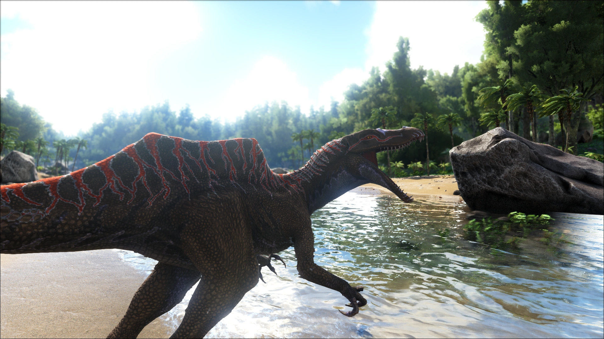 Spinoraptor | Additional Creatures Wiki | Fandom