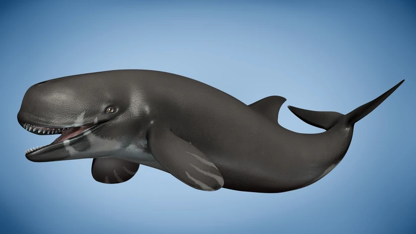 Livyatan | Additional Creatures Wiki | Fandom