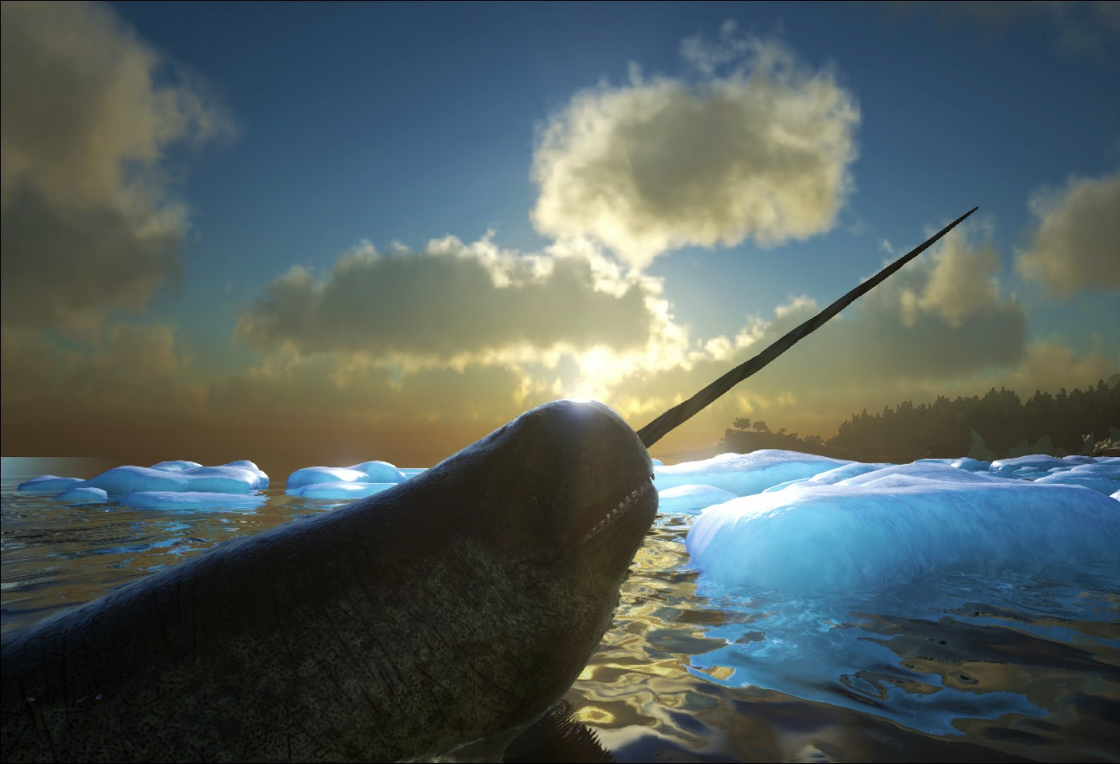Narwhal Additional Creatures Wiki Fandom narwhal-additional-creatures-wiki-fandom