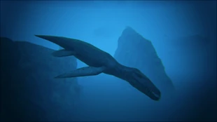 Brachauchenius | Additional Creatures Wiki | Fandom
