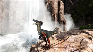 Austroraptor | Additional Creatures Wiki | Fandom