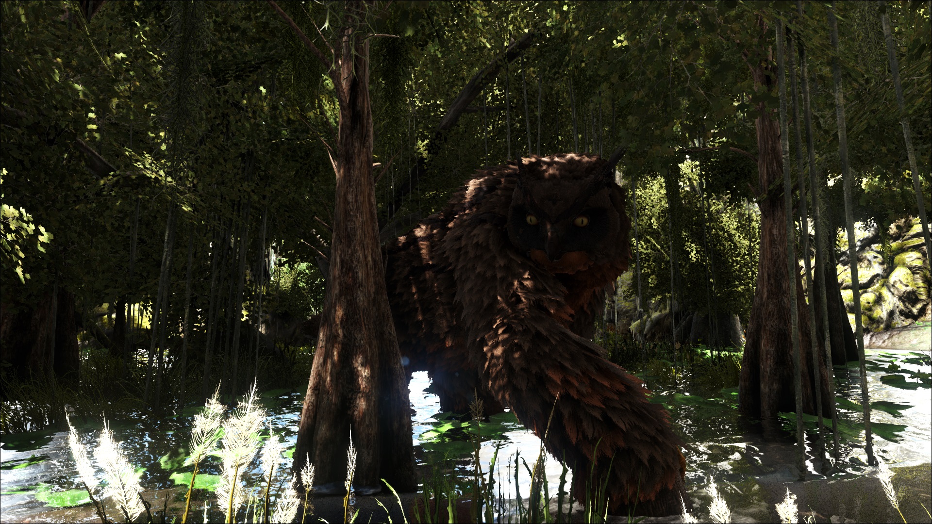 Bunyip | Additional Creatures Wiki | Fandom