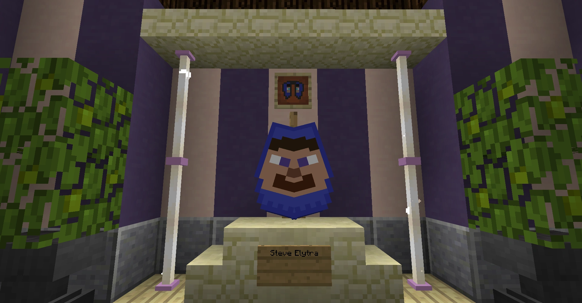 Steve Elytra | Additional Minecraft stuff Wiki | Fandom