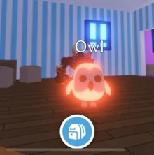 Owl | Adopt Me! Wiki | Fandom