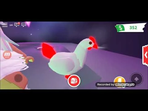 Chicken | Adopt Me! Wiki | Fandom