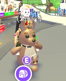 Kangaroo | Adopt Me! Wiki | Fandom