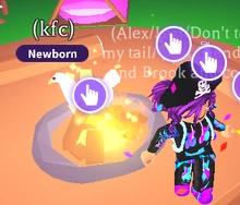 Chicken | Adopt Me! Wiki | Fandom