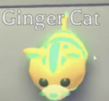 Ginger Cat | Adopt Me! Wiki | Fandom