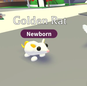 Golden Rat | Adopt Me! Wiki | Fandom