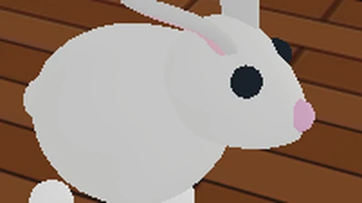 Discuss Everything About Adopt Me! Wiki | Fandom