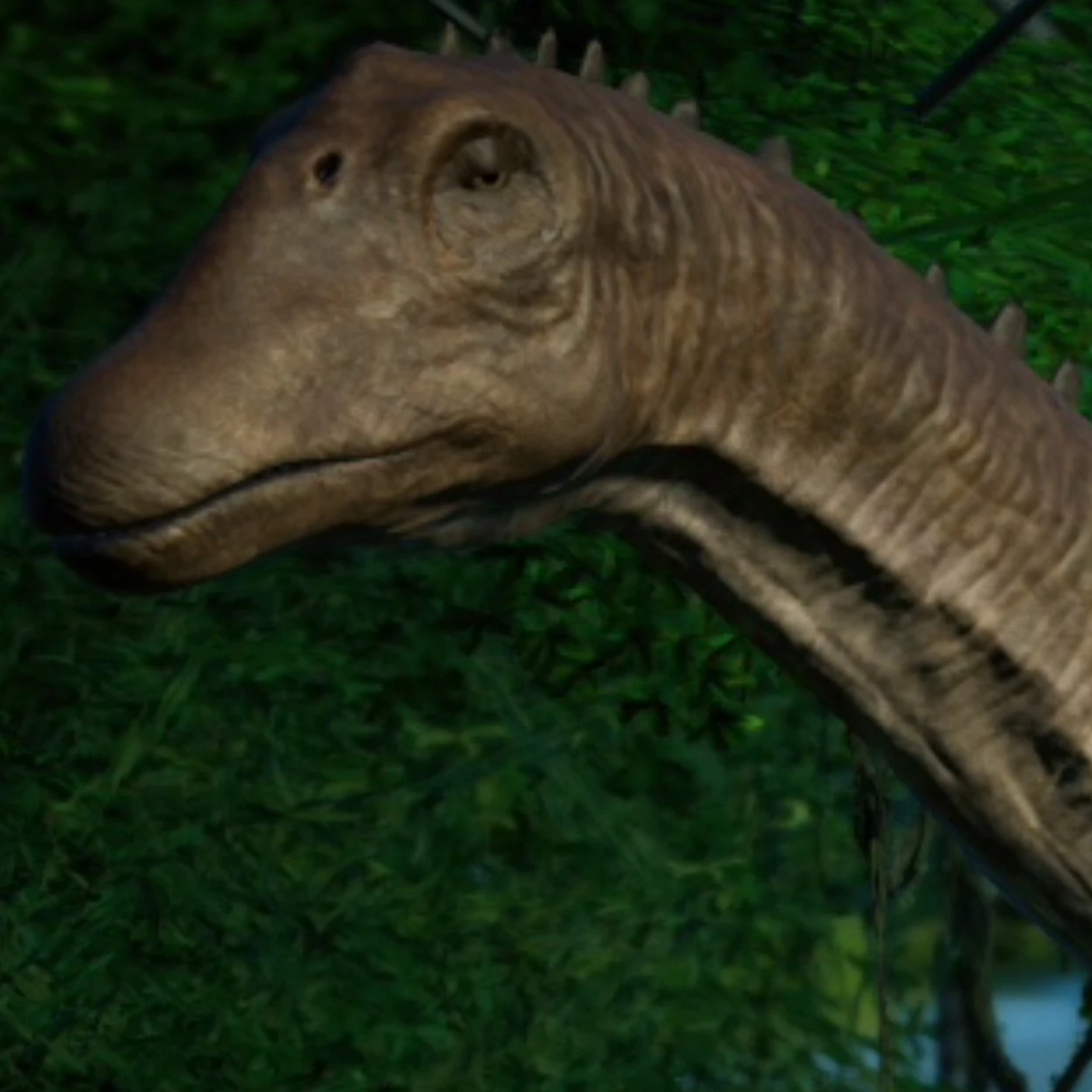 Diplodocus | Adventures of Jairex and Tirzah Rose Wiki | Fandom