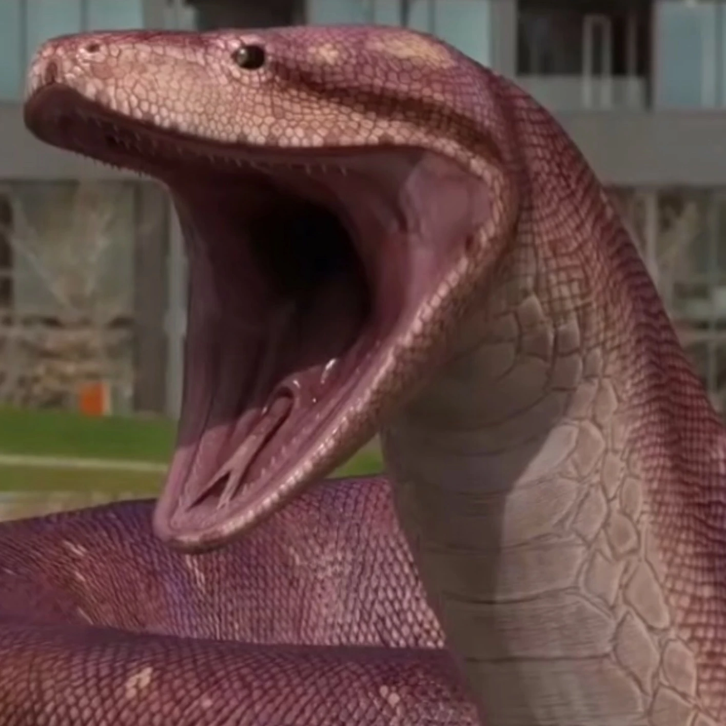 Titanoboa | Adventures of Jairex and Tirzah Rose Wiki | Fandom
