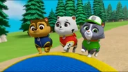 Kitten Catastrophe Crew | Adventures of the PAW Patrol 2 Wiki | Fandom
