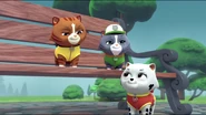 Kitten Catastrophe Crew | Adventures of the PAW Patrol 2 Wiki | Fandom