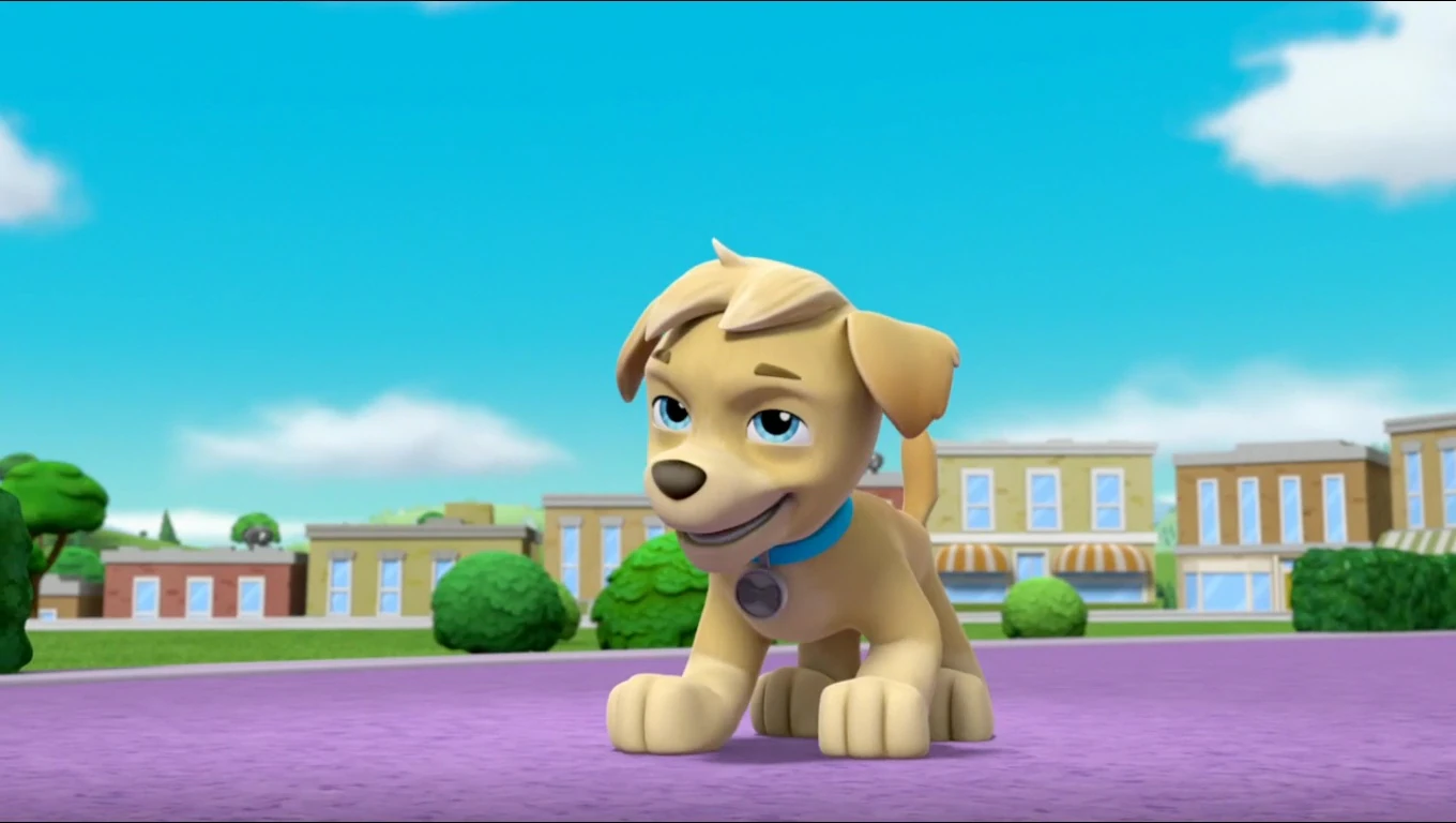Tuck | Adventures of the PAW Patrol 2 Wiki | Fandom