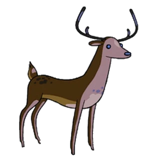 Deer (species) | Adventure Time Wiki | Fandom
