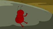 Ants | Adventure Time Wiki | Fandom