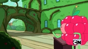 Wildberry Kingdom | Adventure Time Wiki | FANDOM powered by Wikia