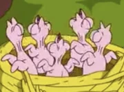 Birds | Adventure Time Wiki | Fandom