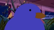 Birds | Adventure Time Wiki | Fandom