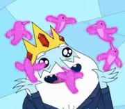 Birds | Adventure Time Wiki | Fandom